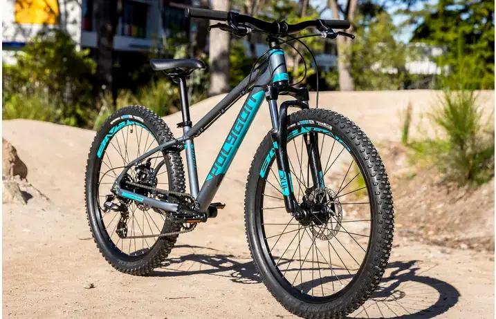 2024 Polygon Premier 24 XC Disc – Specs, Comparisons, Reviews – 99 Spokes