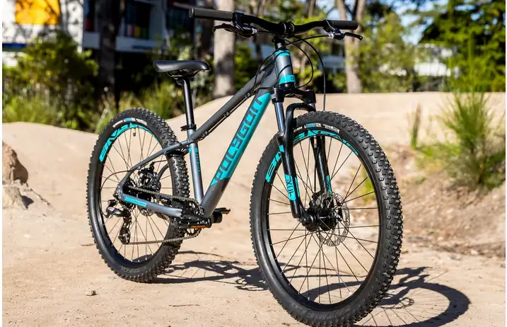 2024 Polygon Premier 24 XC Disc – Specs, Comparisons, Reviews – 99 Spokes