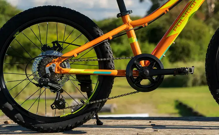 2024 Polygon Relic 20 – Specs, Comparisons, Reviews – 99 Spokes