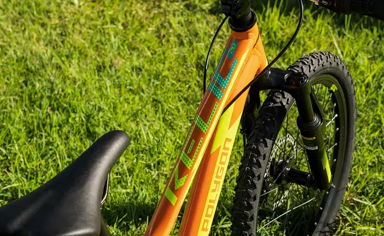 2024 Polygon Relic 20 – Specs, Comparisons, Reviews – 99 Spokes