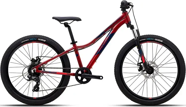 2024 Polygon Relic 24 – Specs, Comparisons, Reviews – 99 Spokes