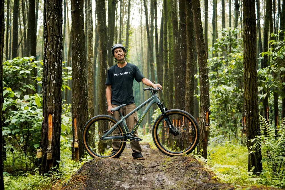 2024 Polygon Trid – Specs, Comparisons, Reviews – 99 Spokes