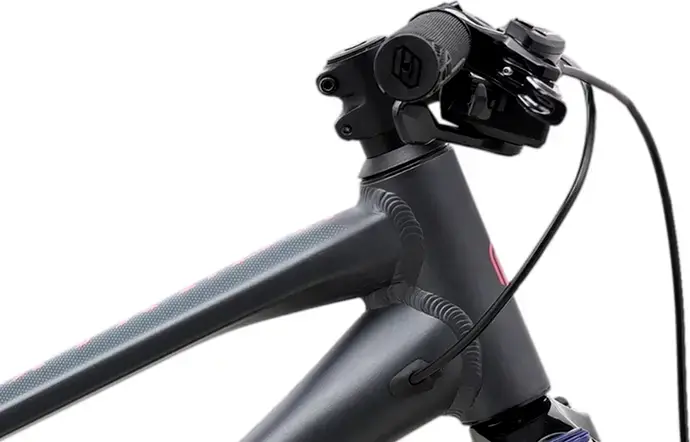 2024 Polygon Xtrada 20 – Specs, Comparisons, Reviews – 99 Spokes