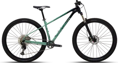 Compare: 2025 Giant Talon 2 vs 2024 Polygon XTRADA 6 vs Specialized ...