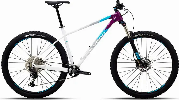 2024 Polygon Xtrada 7 Hardtail – Specs, Comparisons, Reviews – 99 Spokes
