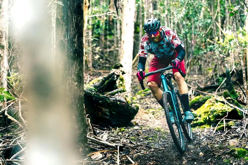 2025 Polygon Bend R9X – Specs, Comparisons, Reviews – 99 Spokes