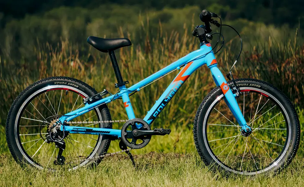 2025 Polygon Premier 20 – Specs, Comparisons, Reviews – 99 Spokes