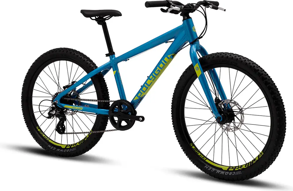 2025 Polygon Premier 24 Disc – Specs, Comparisons, Reviews – 99 Spokes