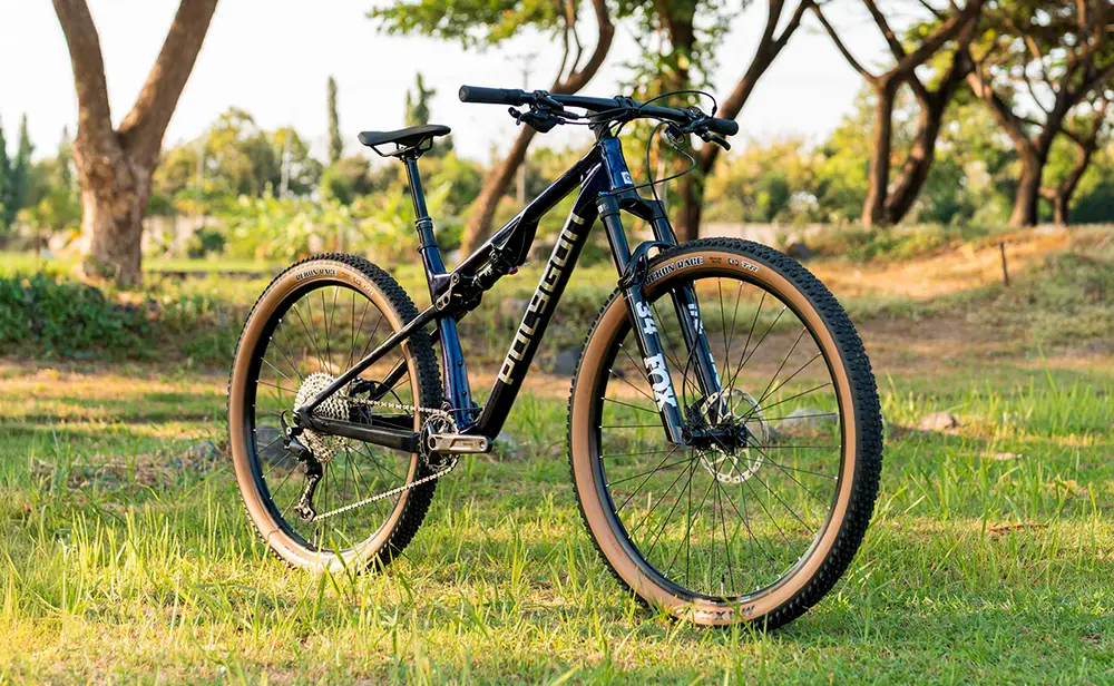 2025 Polygon Syncline DR6 – Specs, Comparisons, Reviews – 99 Spokes