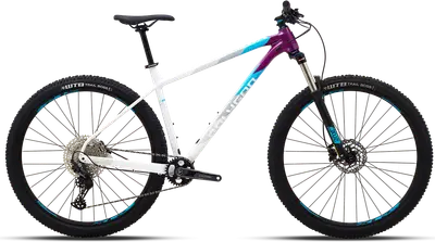 Compare: 2025 Polygon XTRADA 5 vs XTRADA 6 vs XTRADA 7 – 99 Spokes