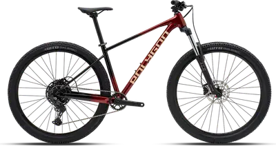 Compare: 2026 Polygon XTRADA 5 vs XTRADA 6 – 99 Spokes