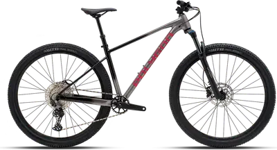 Compare: 2026 Polygon XTRADA 5 vs XTRADA 6 – 99 Spokes