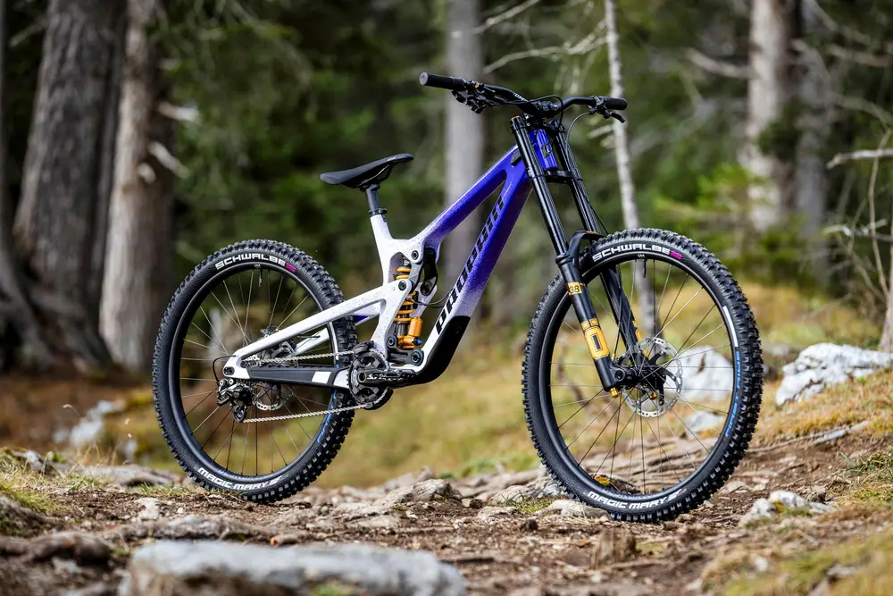 2024 Propain RAGE 3 R CF 29 Base – Specs, Comparisons, Reviews – 99 Spokes