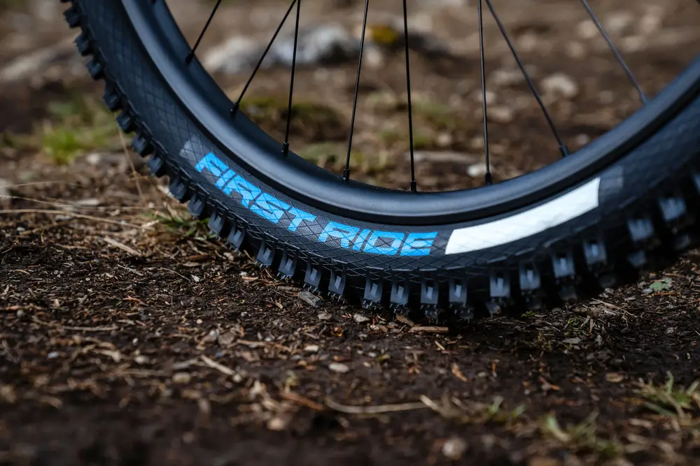 2024 Propain RAGE 3 R CF 29 Base – Specs, Comparisons, Reviews – 99 Spokes