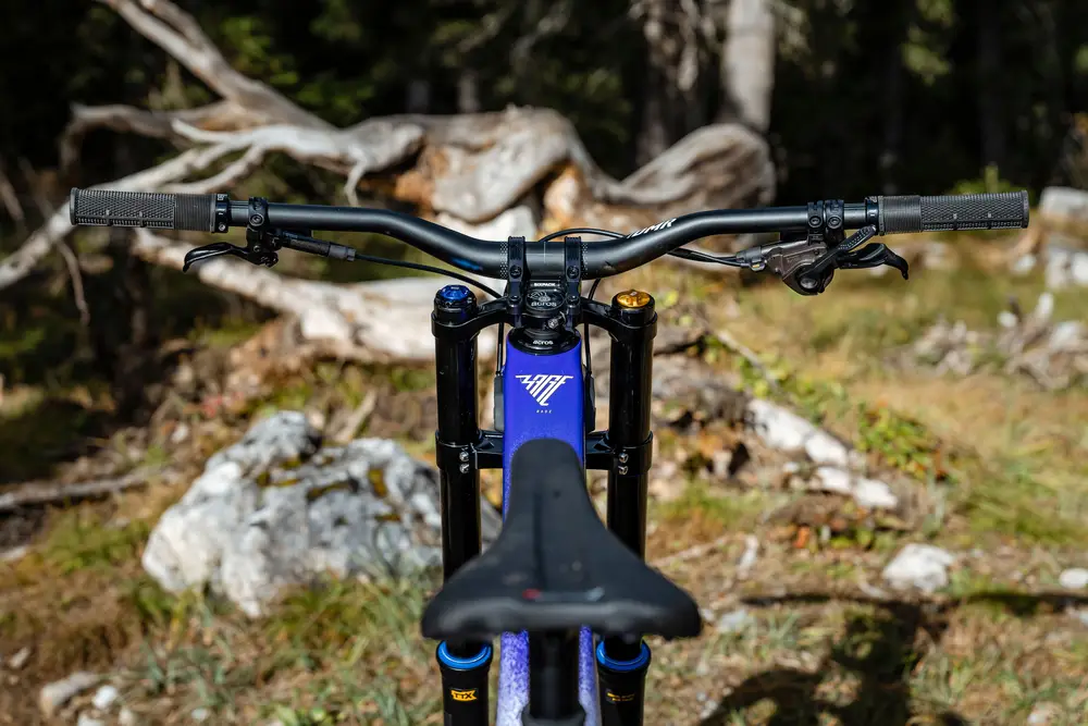 2024 Propain RAGE 3 R CF 29 Base – Specs, Comparisons, Reviews – 99 Spokes