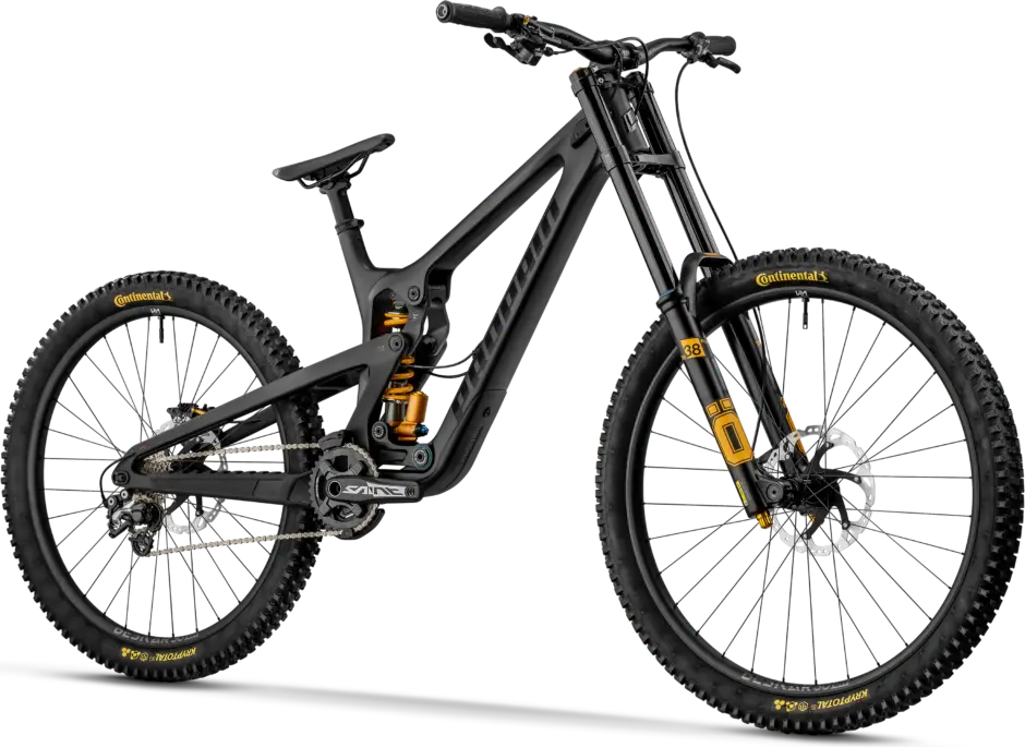 2024 Propain RAGE 3 R CF 29 Base – Specs, Comparisons, Reviews – 99 Spokes