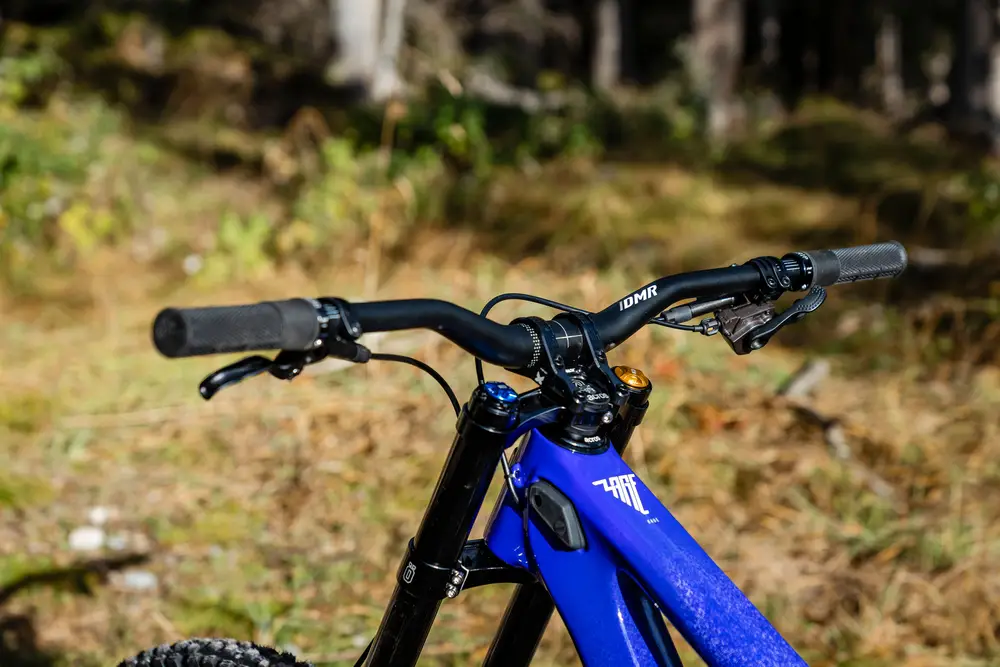 2024 Propain RAGE 3 R CF 29 Base – Specs, Comparisons, Reviews – 99 Spokes