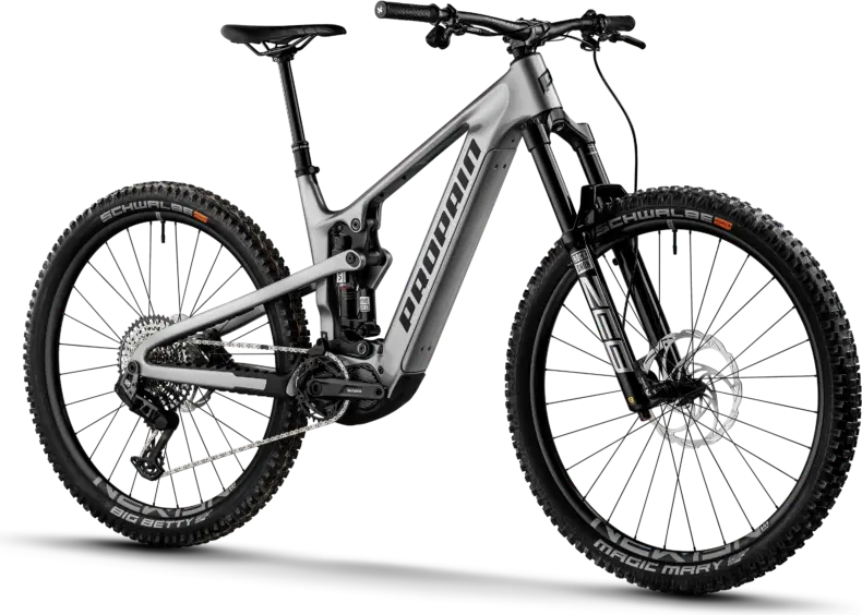 2024 Propain Sresh CF 29 Ultimate Enduro – Specs, Comparisons, Reviews ...