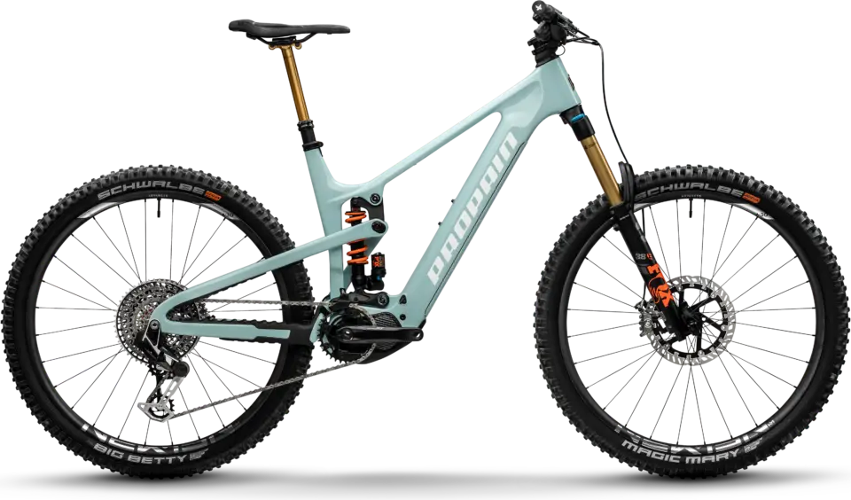 2024 Propain Sresh CF 29 Ultimate Trail – Specs, Comparisons, Reviews ...