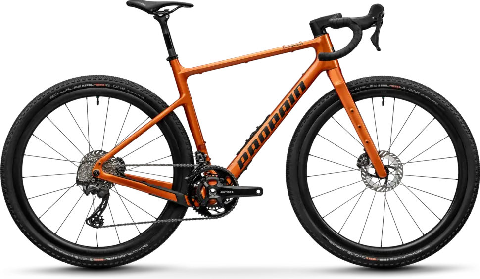 Propain – 99 Spokes