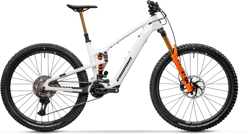 Propain – 99 Spokes