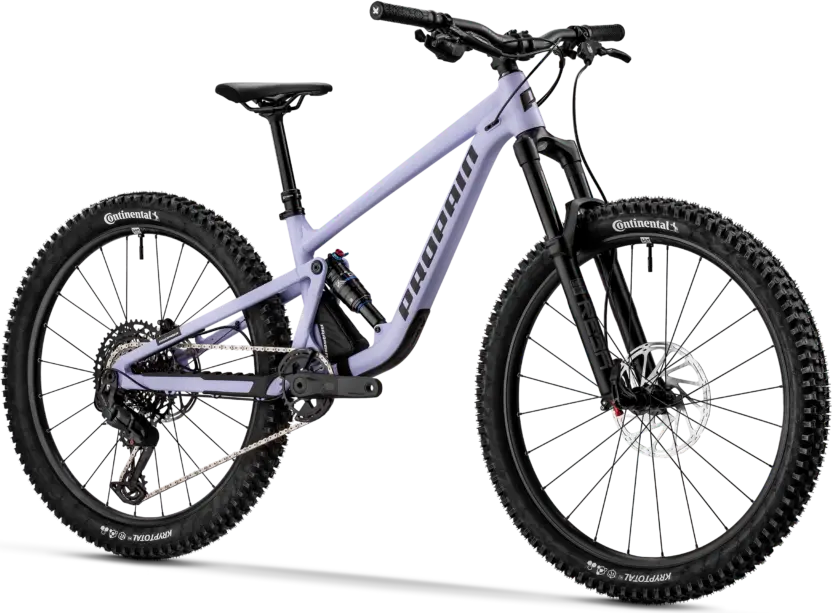 Propain – 99 Spokes