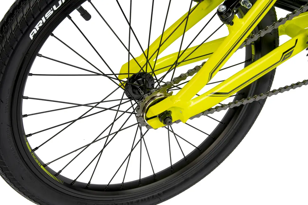 2023 RADIO COBALT EXPERT – Specs, Comparisons, Reviews – 99 Spokes