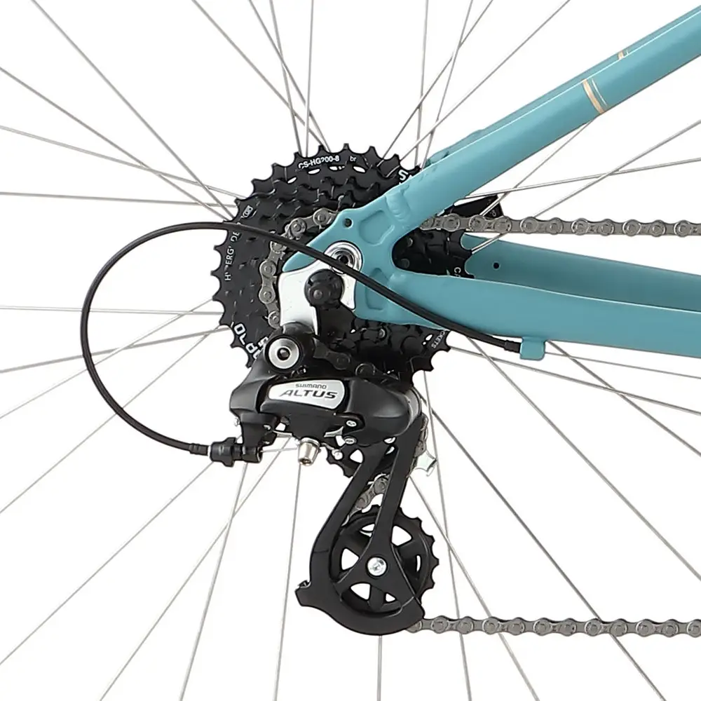 2019 Raleigh Detour 2 Step Thru – Specs, Comparisons, Reviews – 99 Spokes