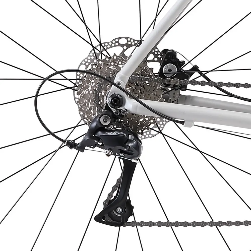 2019 Raleigh Willard 2 – Specs, Comparisons, Reviews – 99 Spokes
