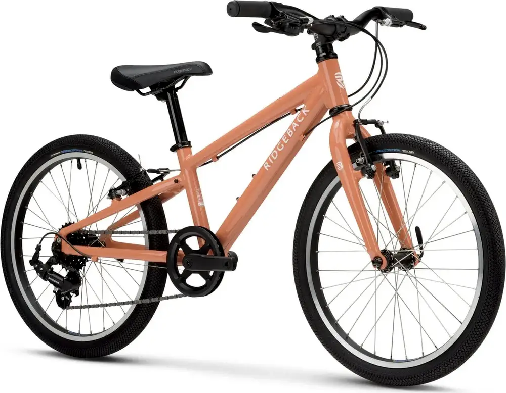 2024 Ridgeback Dimension 20 – Specs, Comparisons, Reviews – 99 Spokes