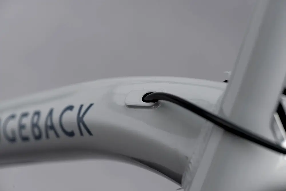 2024 Ridgeback Element Eq – Specs, Comparisons, Reviews – 99 Spokes