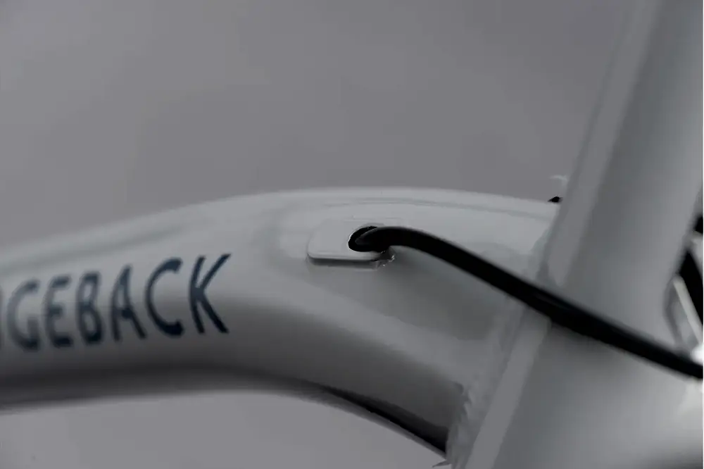 2024 Ridgeback Element Eq – Specs, Comparisons, Reviews – 99 Spokes