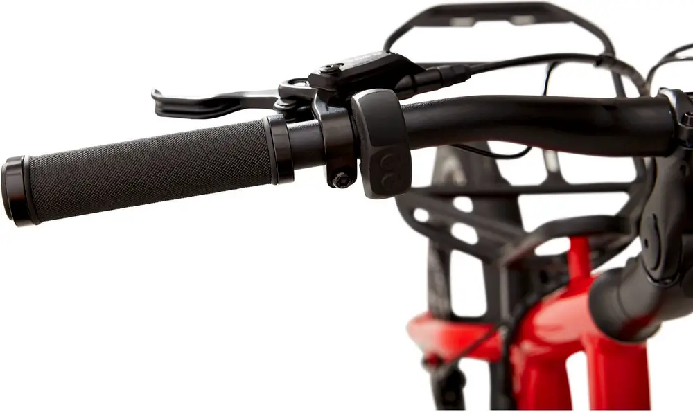 2024 Ridgeback Errand – Specs, Comparisons, Reviews – 99 Spokes