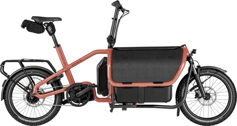 2025 Riese & Müller Carrie2 city – Specs, Comparisons, Reviews – 99 Spokes