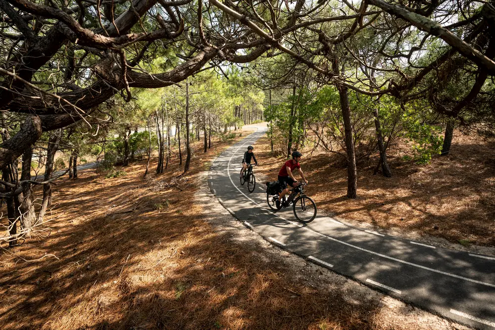 2023 RIVERSIDE Shimano 60 Nm motor, long-distance electric hybrid bike ...