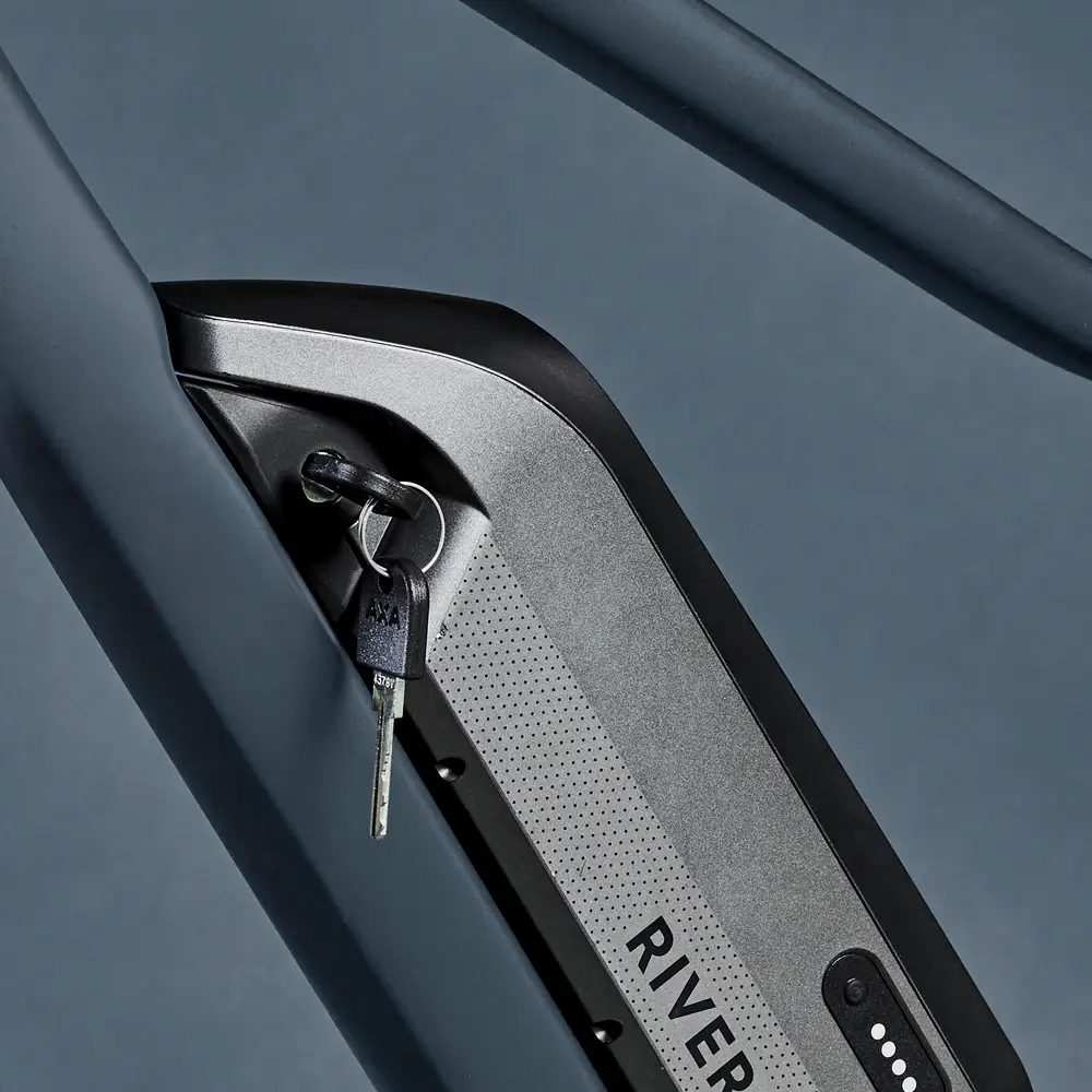 2023 RIVERSIDE Shimano 60 Nm motor, long-distance electric hybrid bike ...