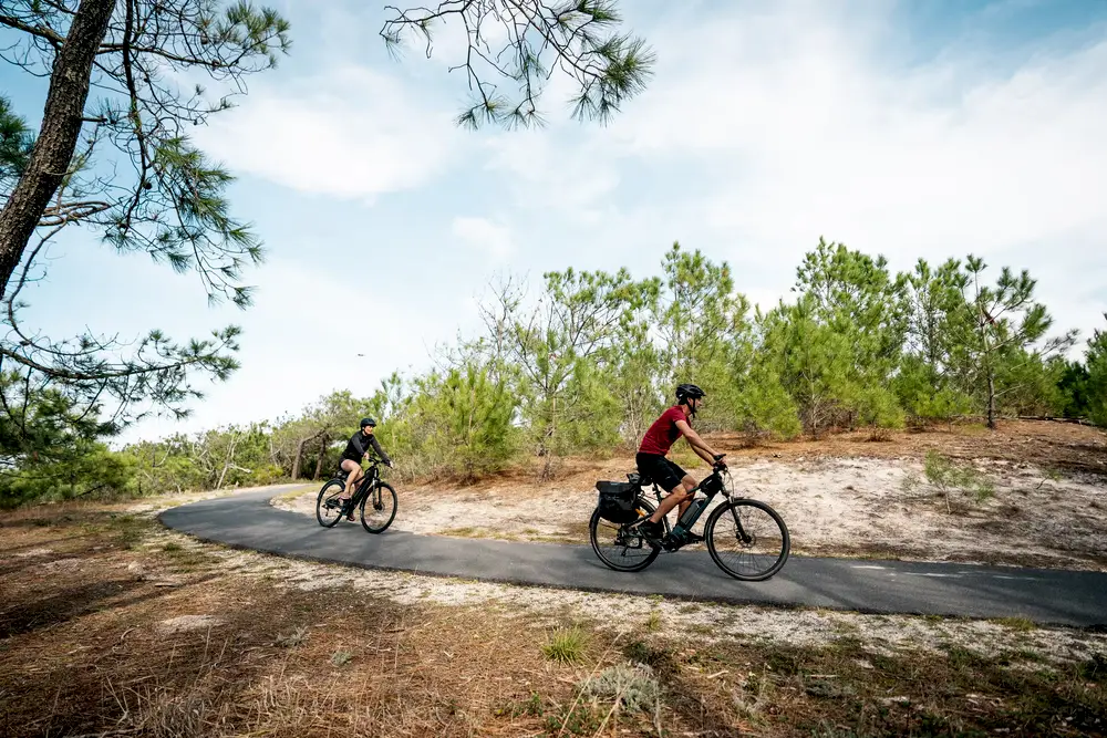 2024 RIVERSIDE Shimano 60 Nm motor, long-distance electric hybrid bike ...