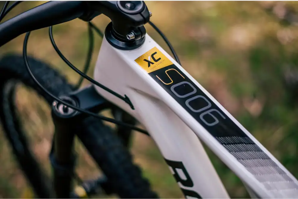 2023 ROCKRIDER 29 inch Full Suspension Carbon Mountain Bike XC 900 – Specs, Comparisons, Reviews ...