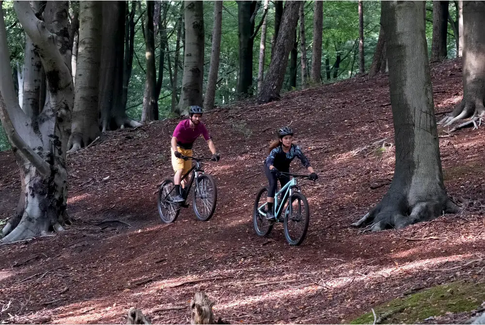 2023 ROCKRIDER 29 inch Touring Mountain Bike Explore 500 – Specs ...