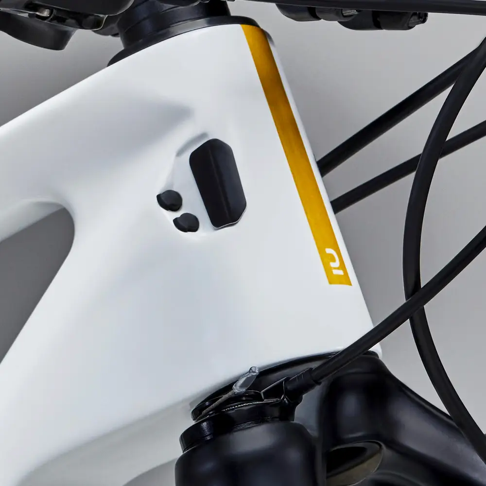 2023 Rockrider Cross Country Mountain Bike RACE 900 GX Eagle, Mavic ...