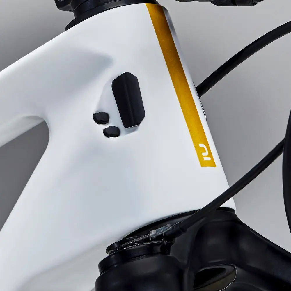 2023 ROCKRIDER Cross Country Mountain Bike RACE 900 GX Eagle, Mavic ...