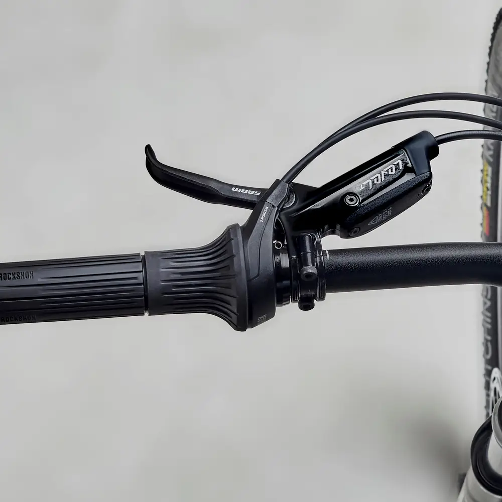 2023 Rockrider XC Mountain Bike RACE 900 GX Eagle, Carbon Reynolds ...