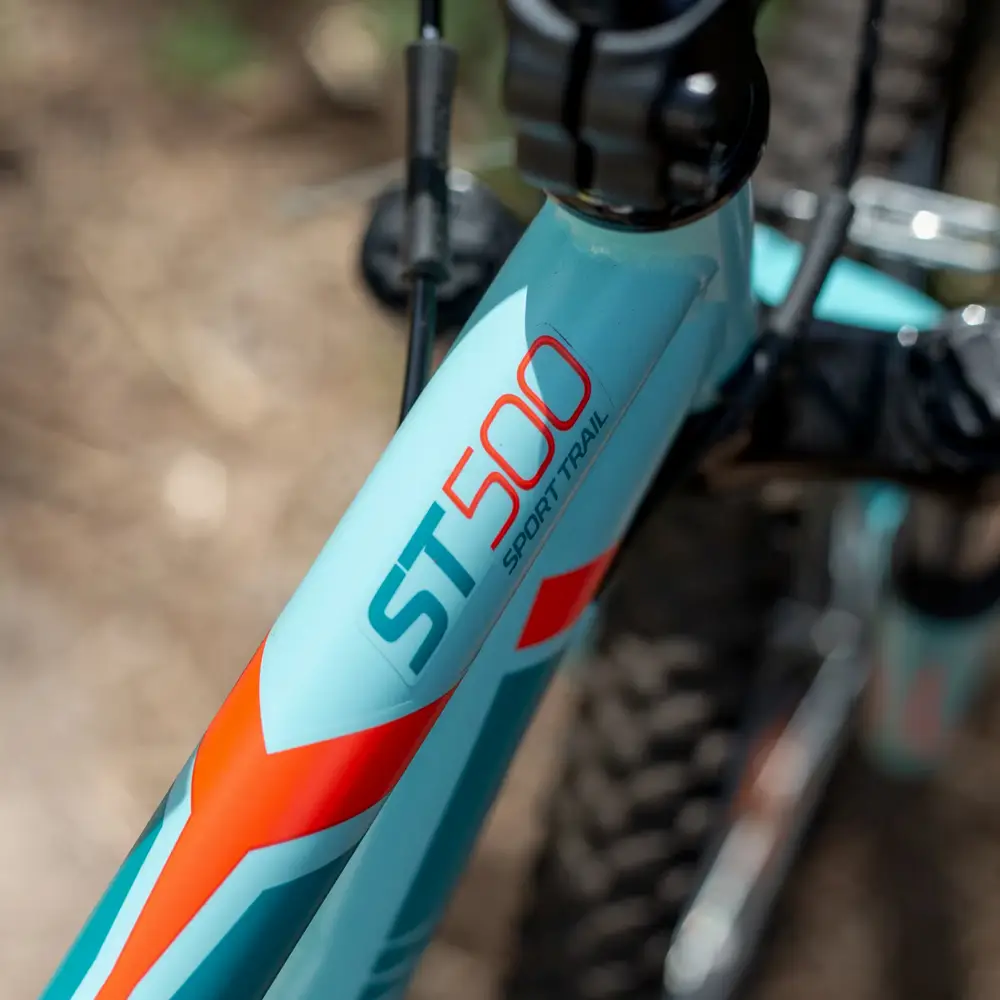 2024 Rockrider 24 INCH KIDS MOUNTAIN BIKE ST 500 9-12 YEARS OLD – Specs ...