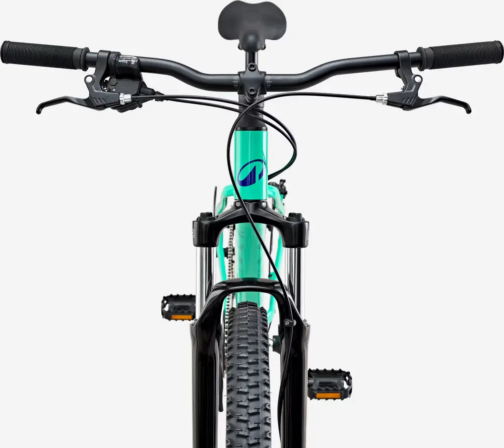 2024 Rockrider 29" EXPL 100 Touring Mountain Bike – Specs, Comparisons ...