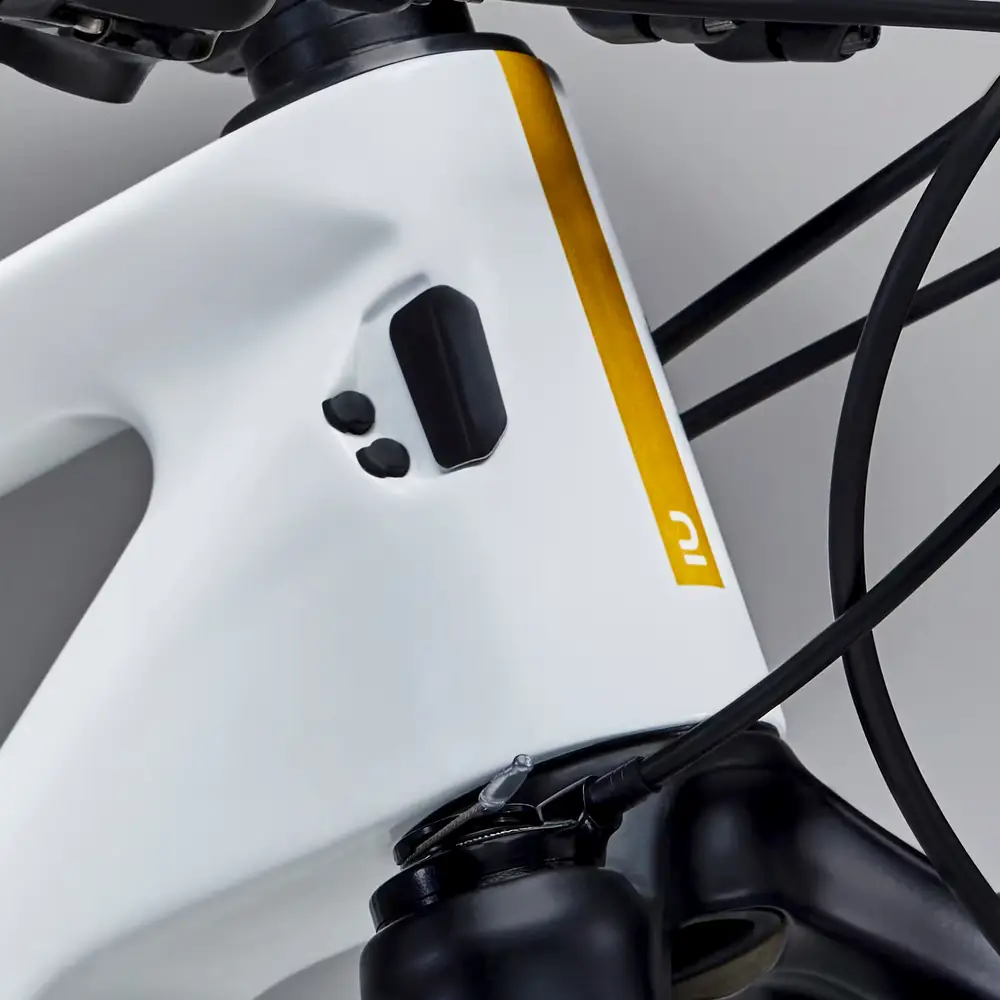 2024 Rockrider XC Mountain Bike Race 900 GX Eagle, Mavic Crossmax ...