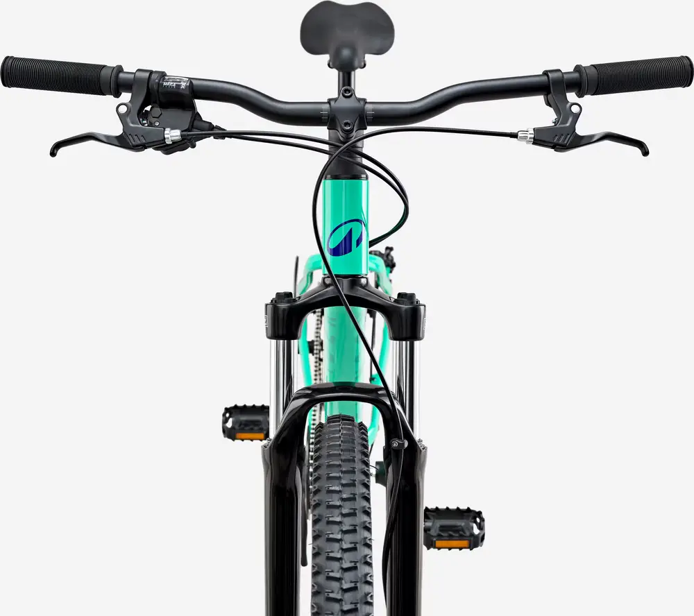 2025 Rockrider 29" EXPL 100 Touring Mountain Bike – Specs, Comparisons ...