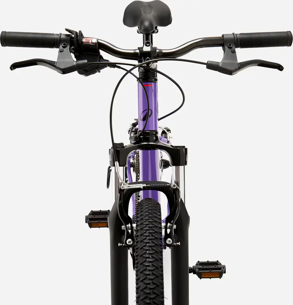 2025 Rockrider Kinderfahrrad Mountainbike 26 Zoll EXPL 500 lila – Specs ...