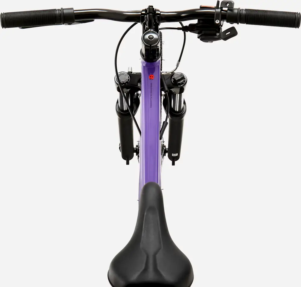 2025 Rockrider Kinderfahrrad Mountainbike 26 Zoll EXPL 500 lila – Specs ...