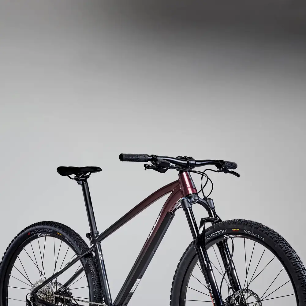 2025 Rockrider Mountainbike EXPL 540 29 Zoll lila/schwarz – Specs ...