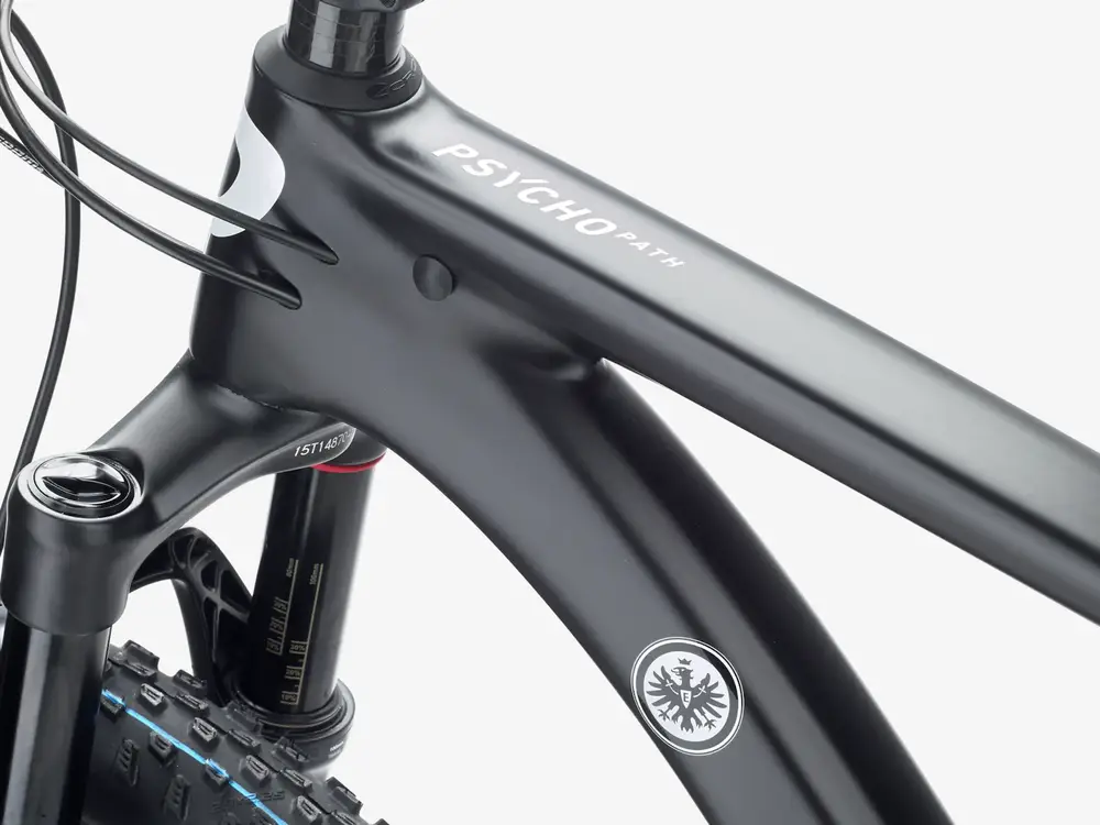 2022 Rose PSYCHO PATH x EINTRACHT FRANKFURT – Specs, Comparisons ...